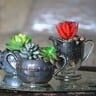12 Silver Plate Repurpose Ideas Including My Latest Project