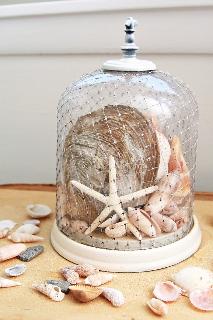 Coastal Decor: How to Create A Net Covered Cloche Filled With Seashells