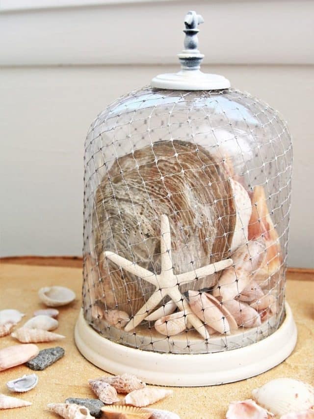 COASTAL DECOR: HOW TO CREATE A NET COVERED CLOCHE FILLED WITH SEASHELLS ...